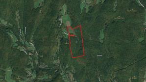 Real Estate Auction Property Search | See All | Tranzon